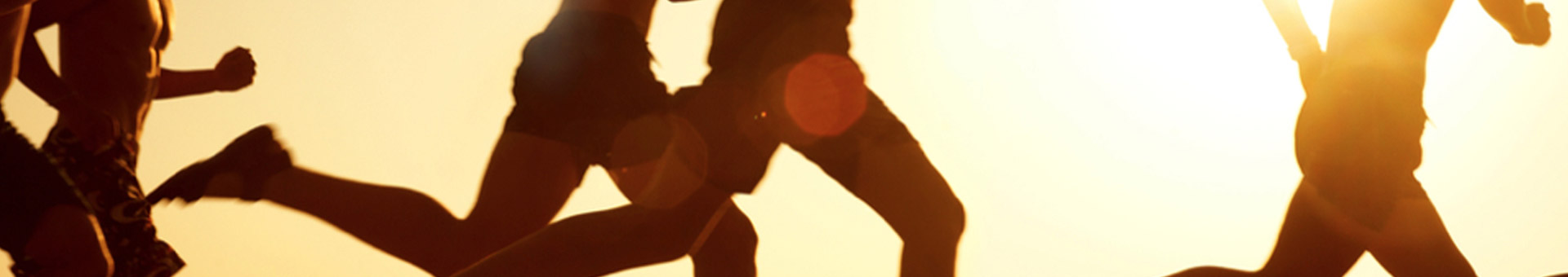 Detailed Explanation – Kevin Silverman – Fitness Therapist